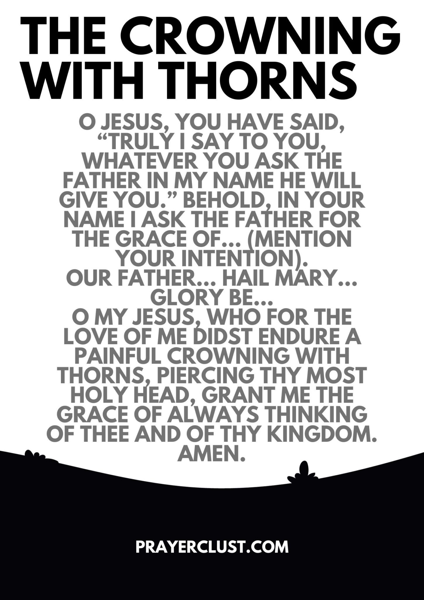 12 Years Prayer to Saint Bridget: A Devotion to the Passion of Christ ...