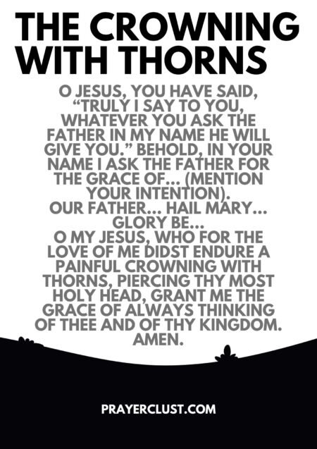 12 Years Prayer to Saint Bridget: A Devotion to the Passion of Christ ...